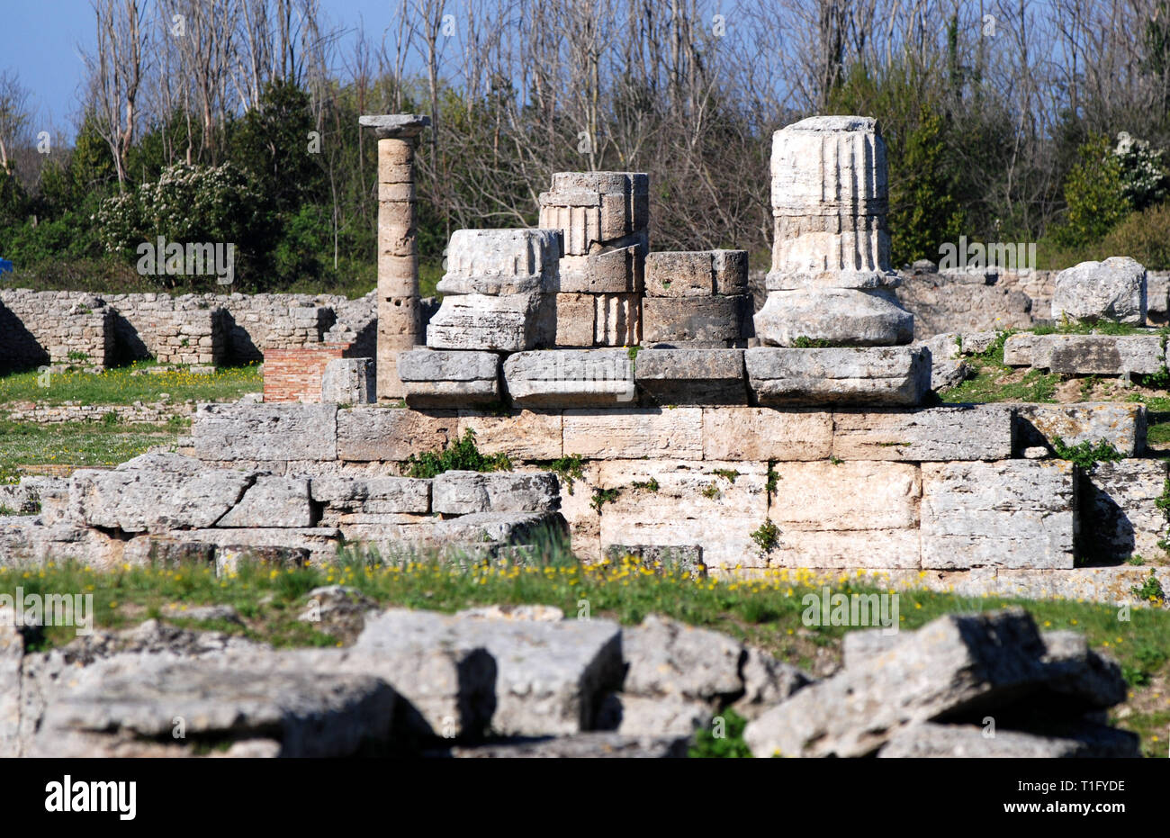 columns of various kinds accumulated on building known as the Italic ...