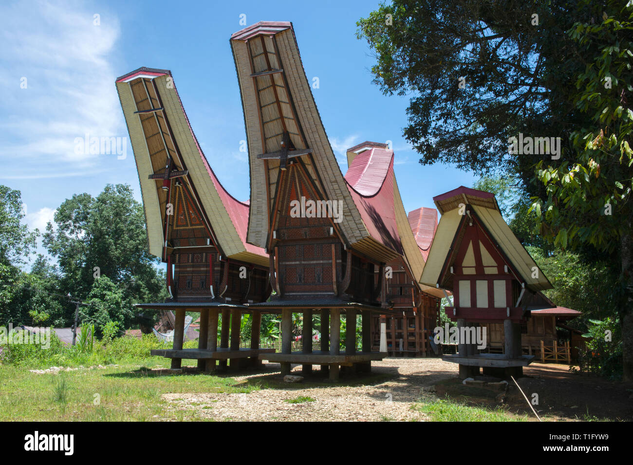 Tongkonan houses, traditional Torajan buildings, Tana Toraja is the ...