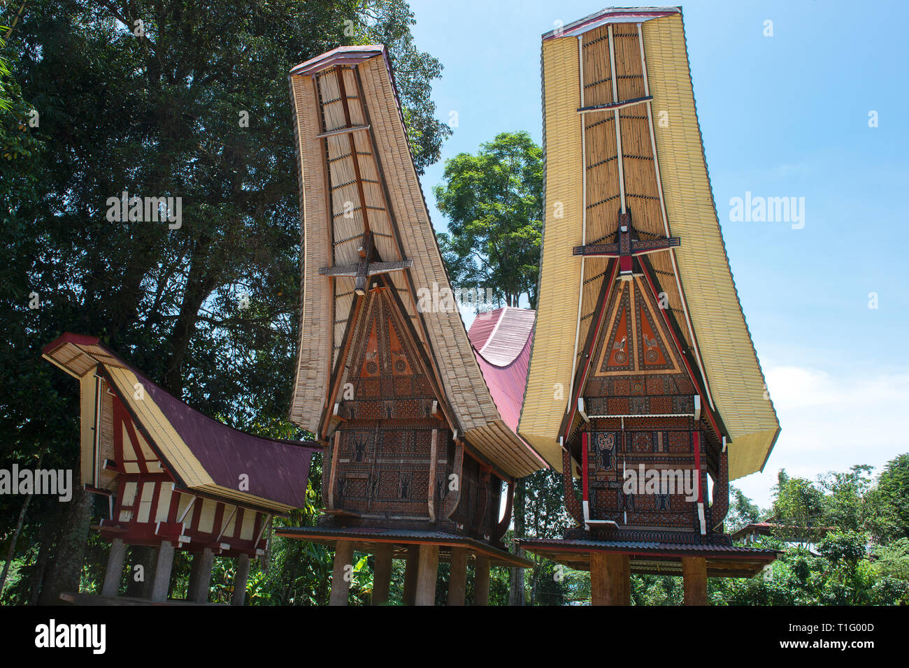 Tongkonan houses, traditional Torajan buildings, Tana Toraja is the ...