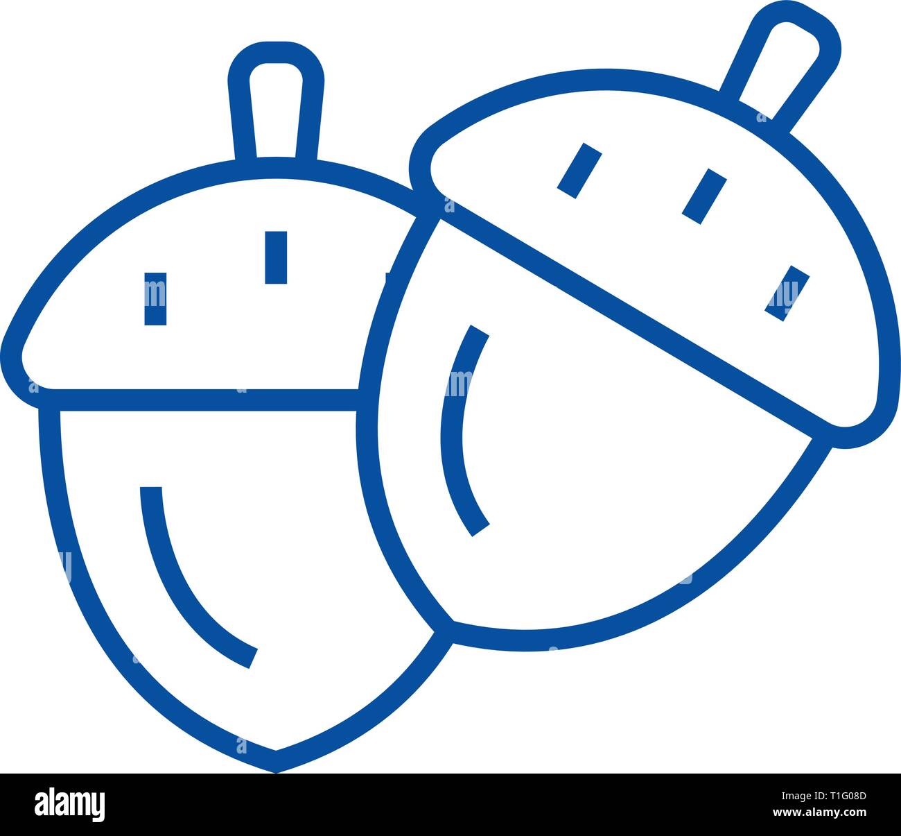 Acorn line icon concept. Acorn flat vector symbol, sign, outline ...