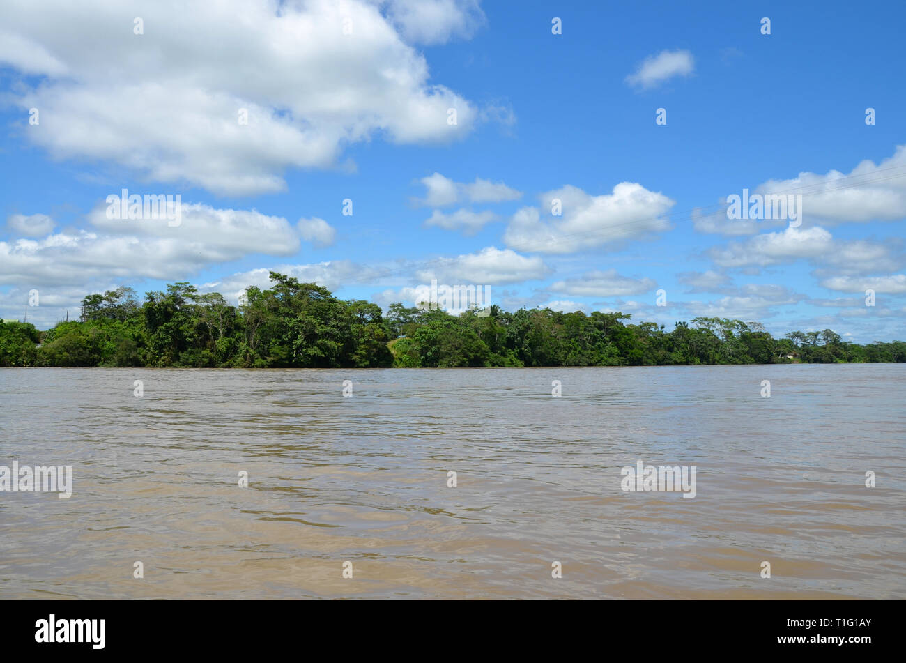Rainforest Amazonas River Ecuador Stock Photo - Alamy