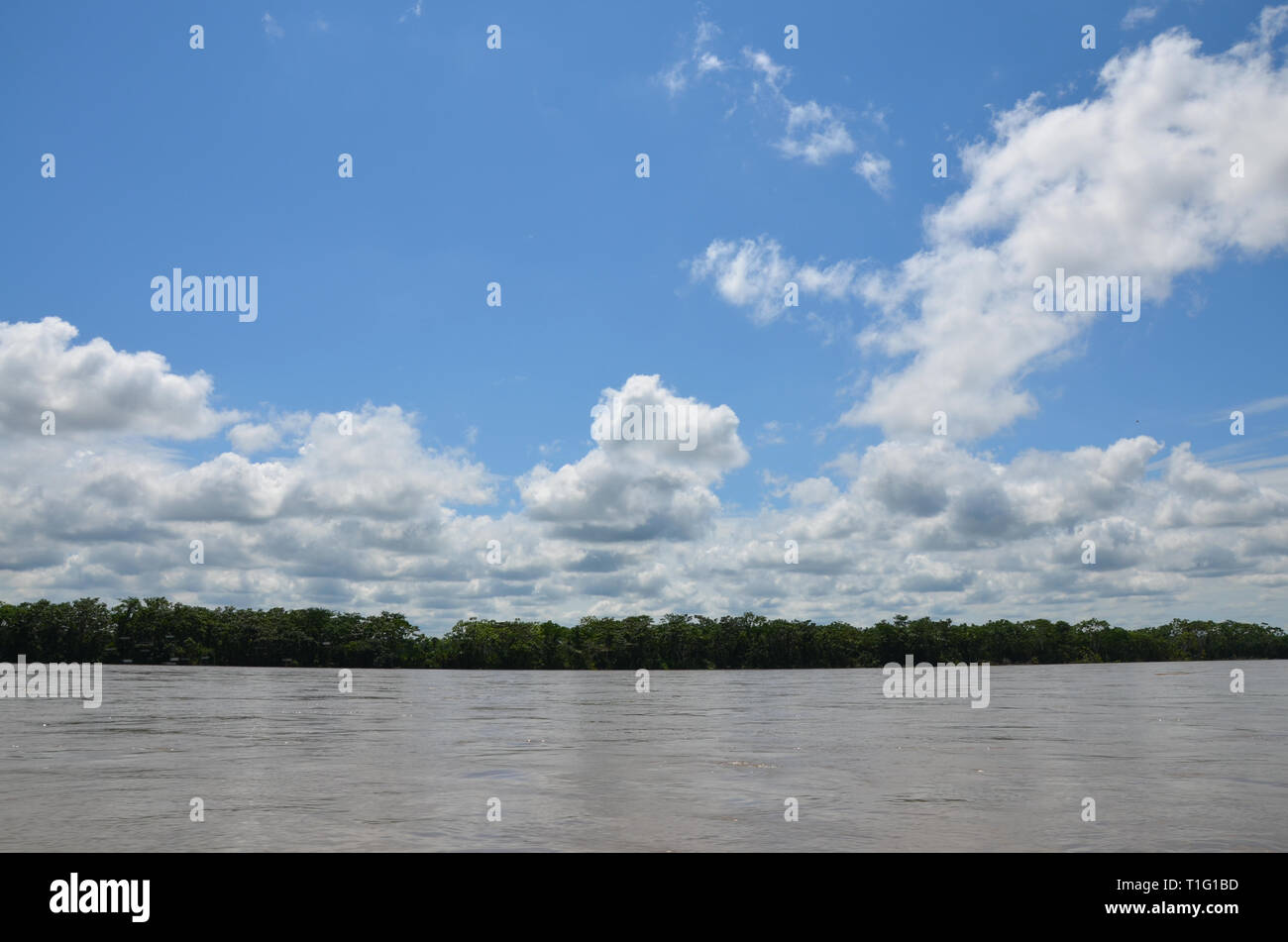 Amazonas delta hi-res stock photography and images - Alamy