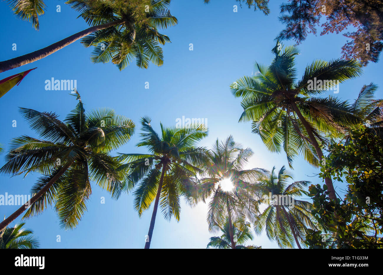 Indoa hi-res stock photography and images - Alamy