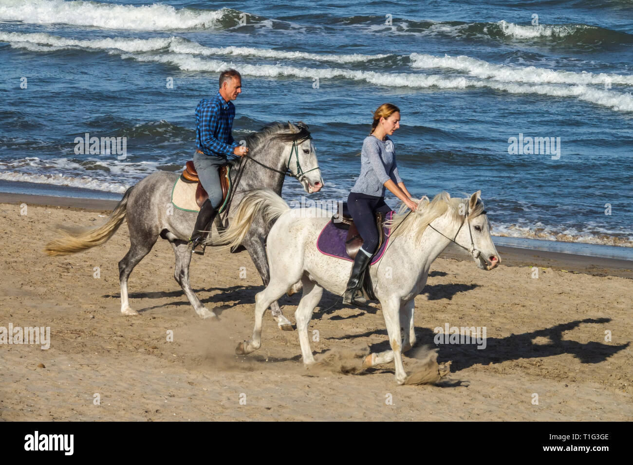 Couple horse riding on beach Stock Photo - Alamy