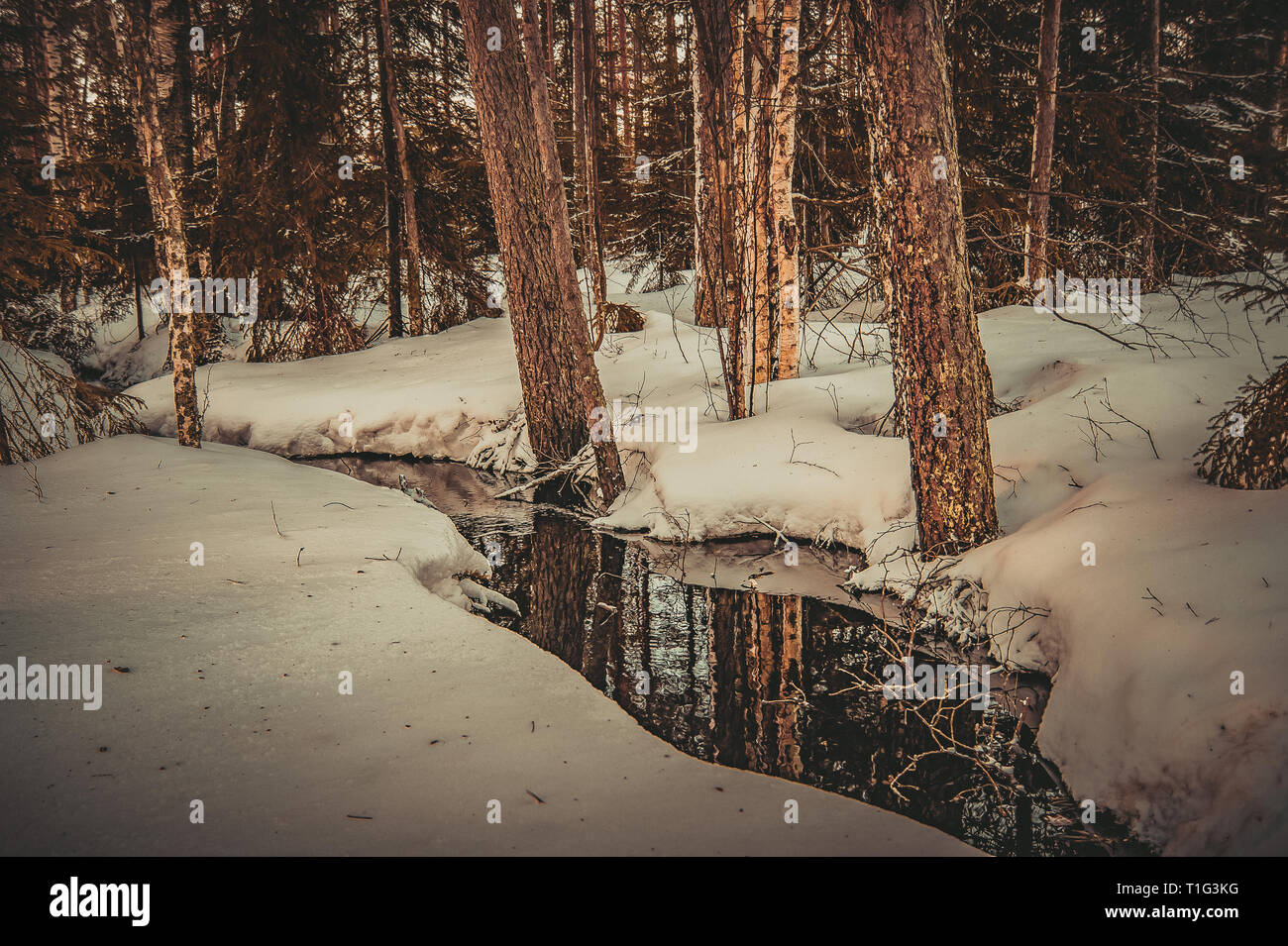 Forest breaks a path through the snow and ice. The river flows into a ...