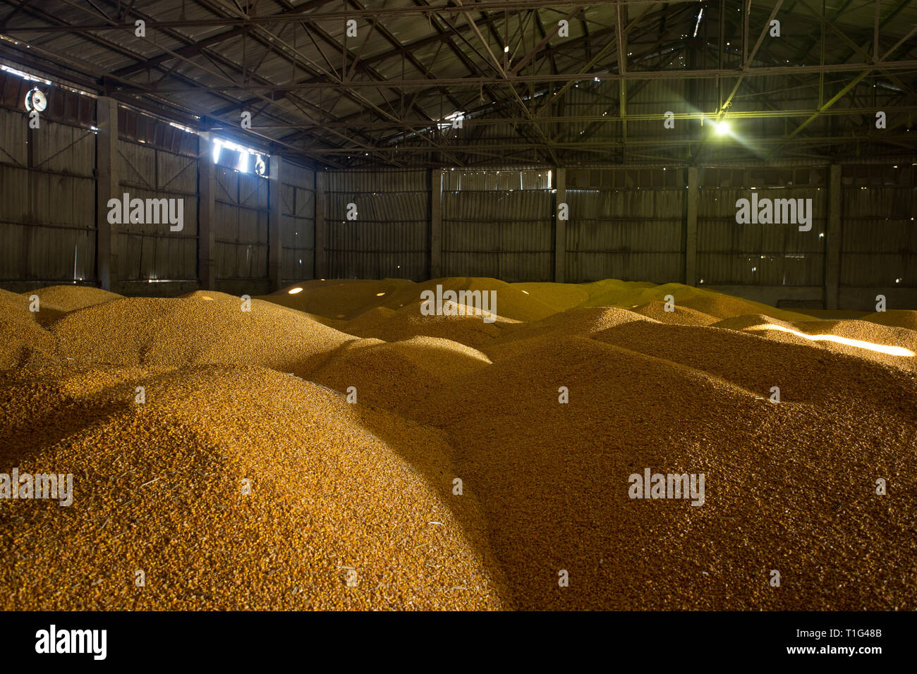 Old barn farm grain bin hi-res stock photography and images - Alamy