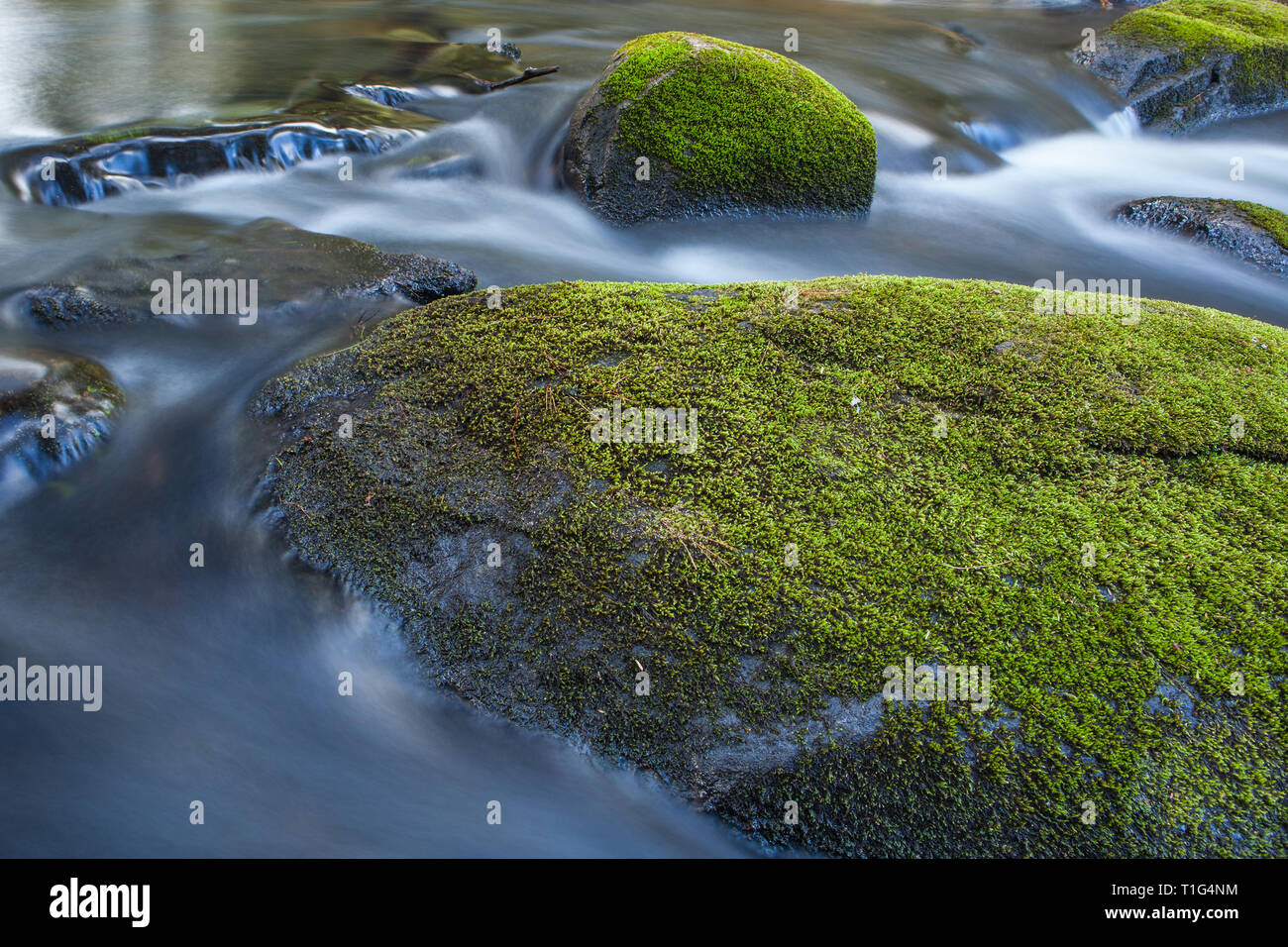 Peaceful image hi-res stock photography and images - Alamy