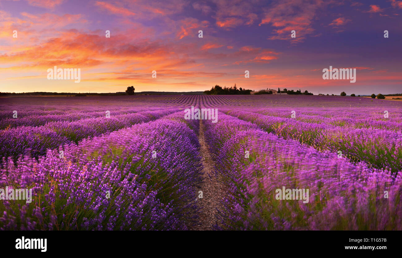 Dawn and agriculture hi-res stock photography and images - Alamy