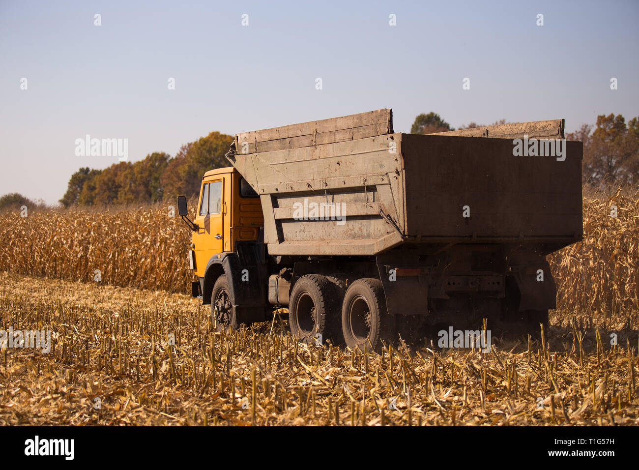 Car rides on wheat field hi-res stock photography and images - Alamy