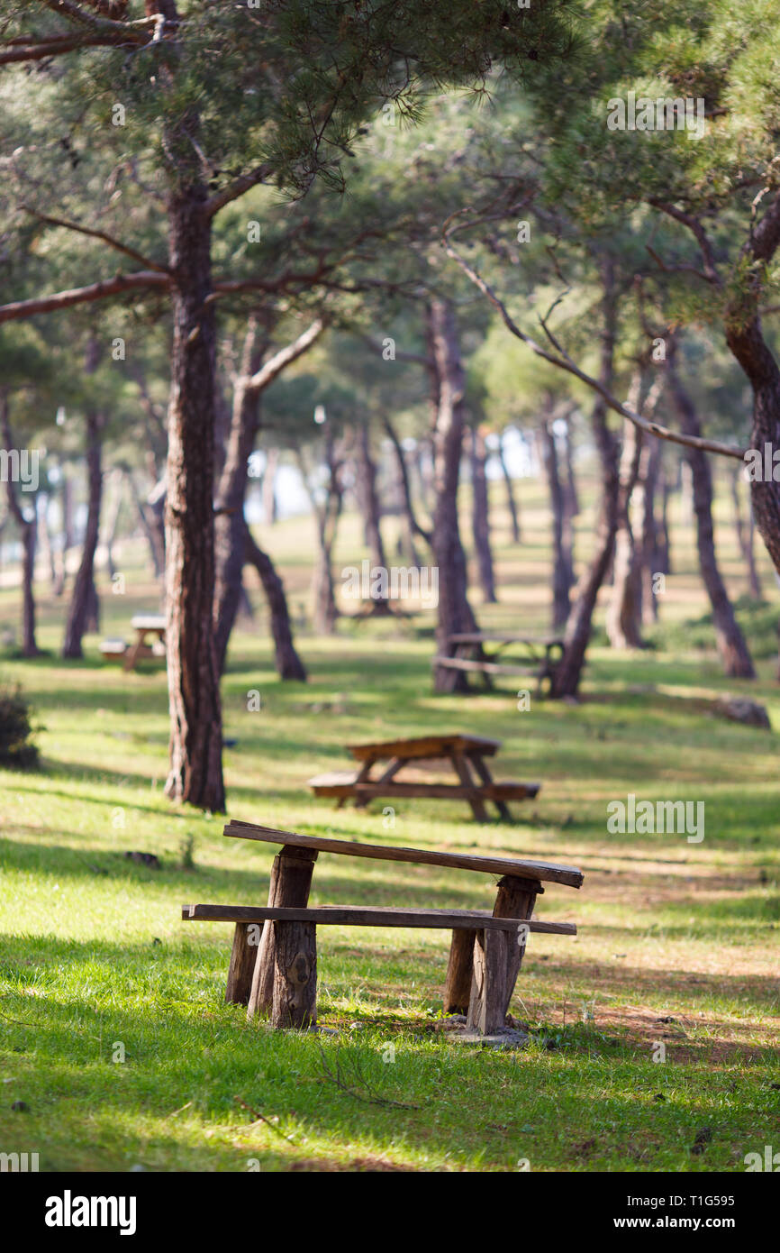 Image of park with trees, wooden benches, table Stock Photo - Alamy