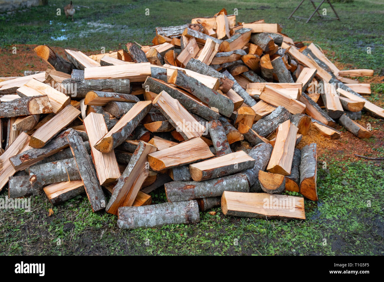 Preparation of firewood for the winter. firewood background, Stacks of ...
