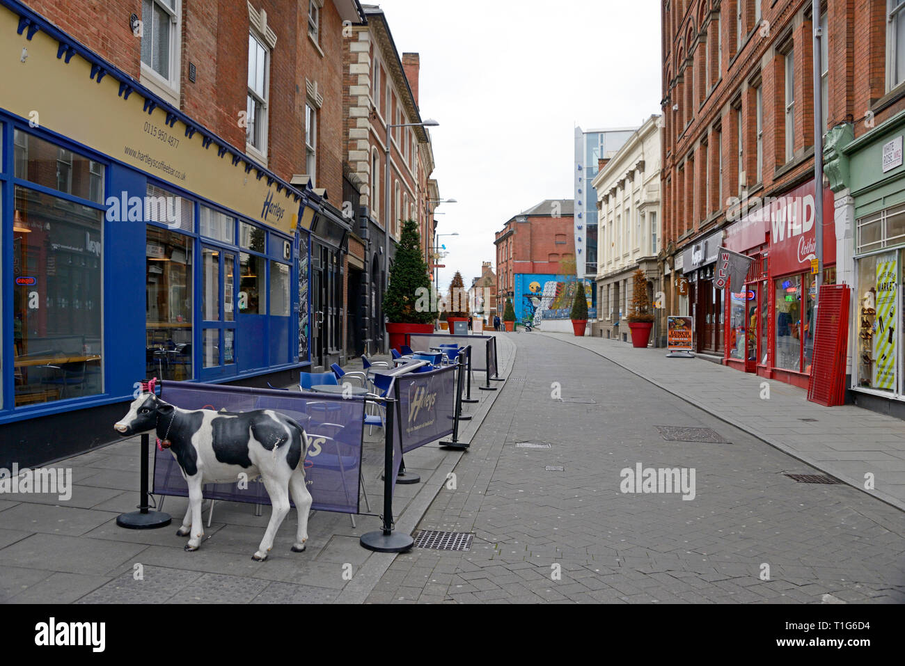 Broad Street, Nottingham, with Cow outside a Cafe Stock Photo - Alamy