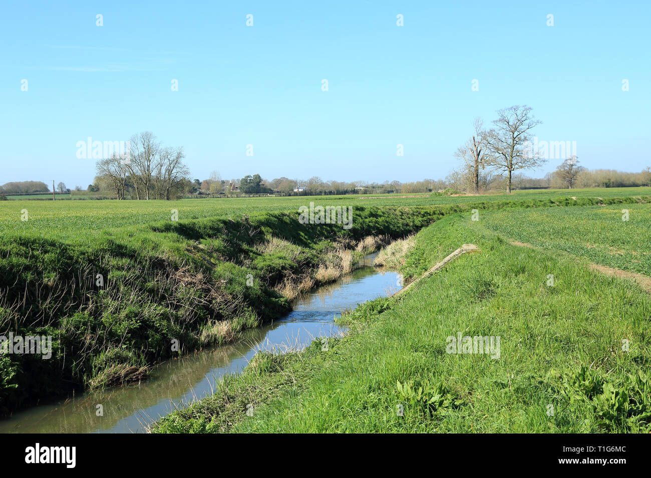 Field and drainage ditch outside Headcorn, Kent, England, United ...