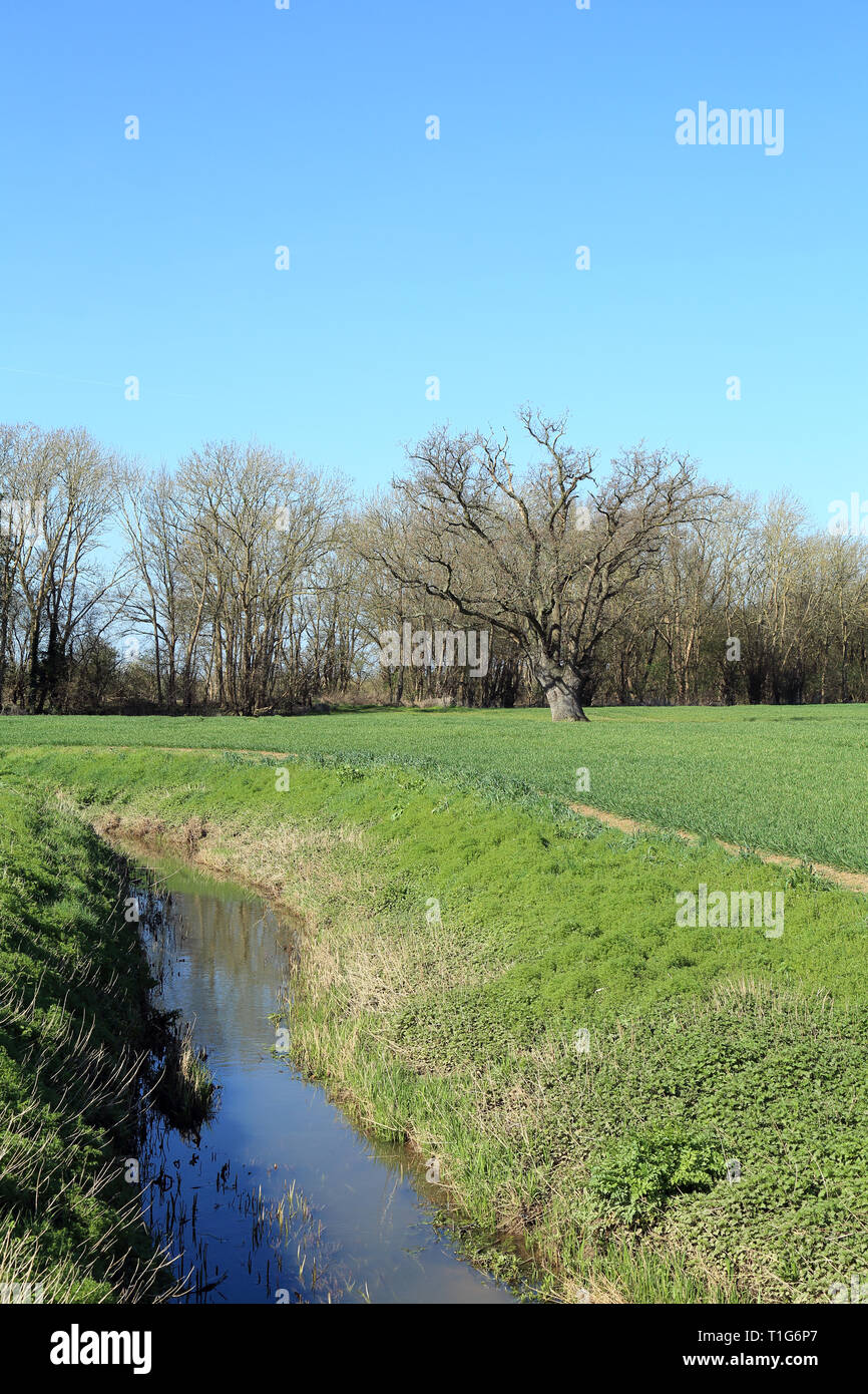 Field drainage ditch hi-res stock photography and images - Alamy