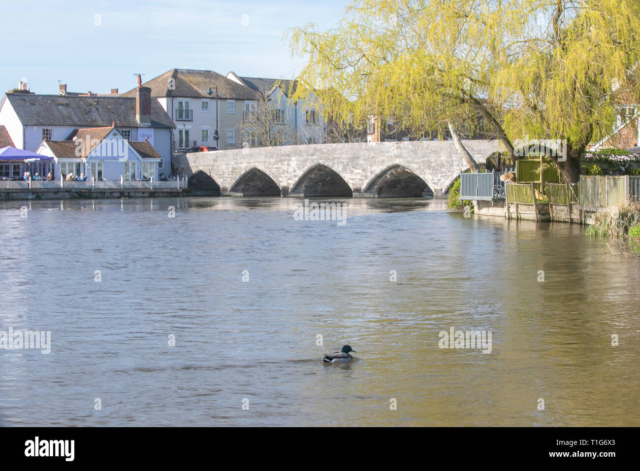 Fordingbridge hi-res stock photography and images - Alamy