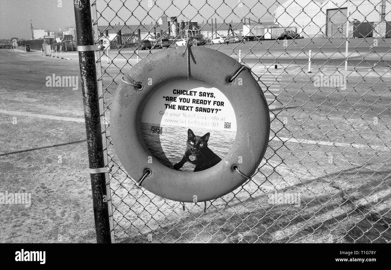 Red hook new york city waterfront hi-res stock photography and images ...