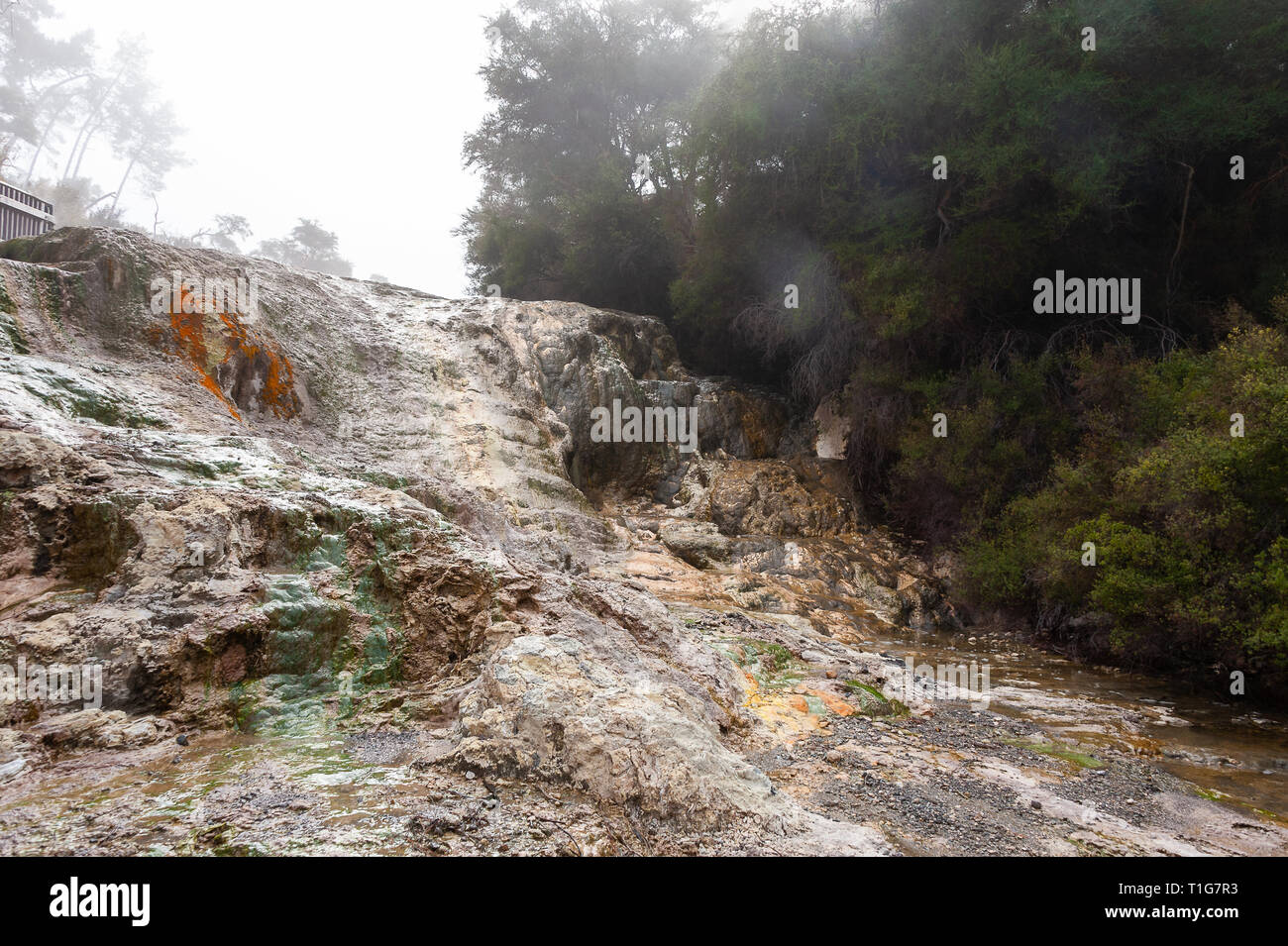 Steaming landscape, Bridal Veil Falls at the Wai-O-Tapu geothermal ...