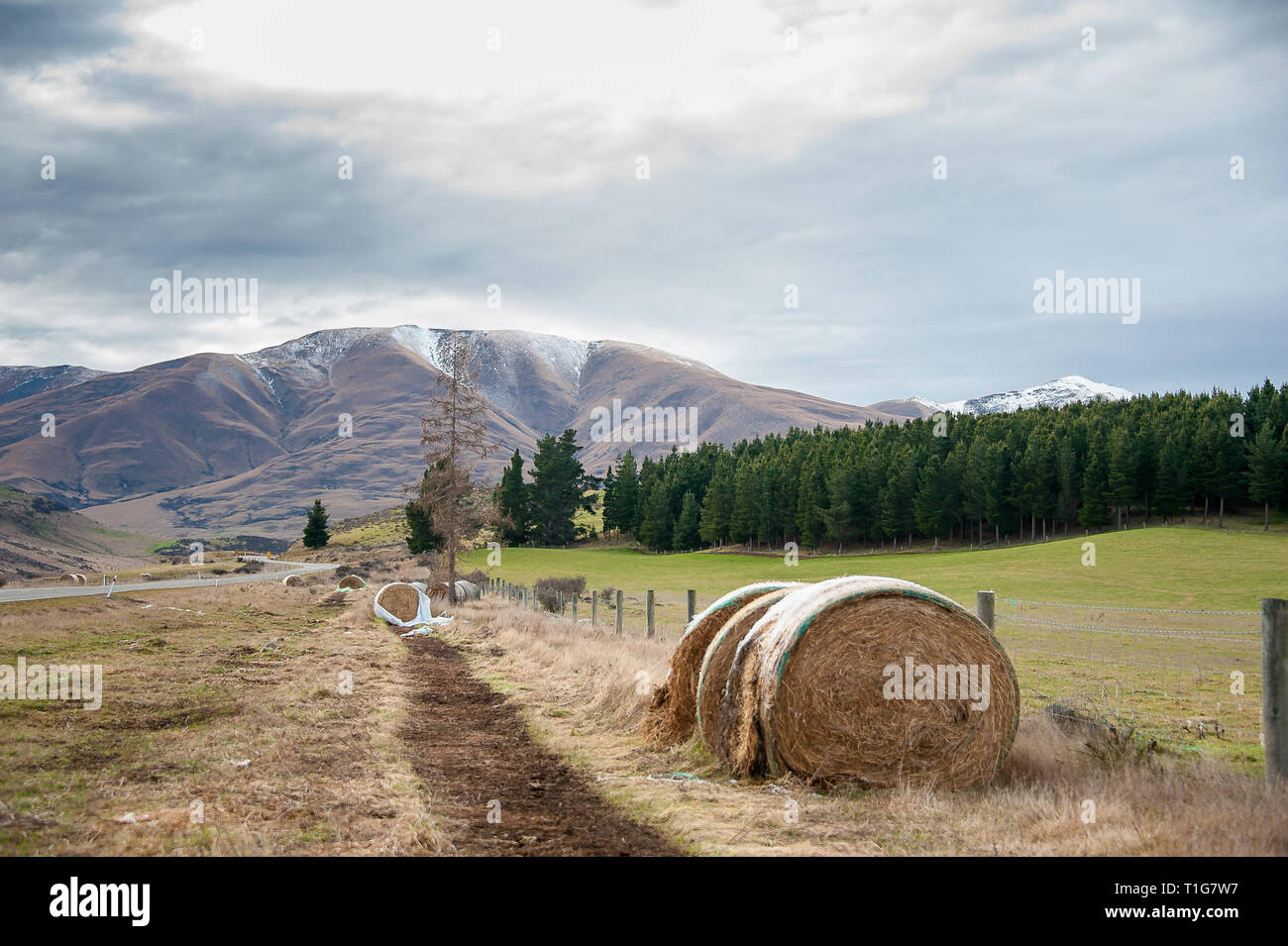 Hay field in new zealand hi-res stock photography and images - Alamy
