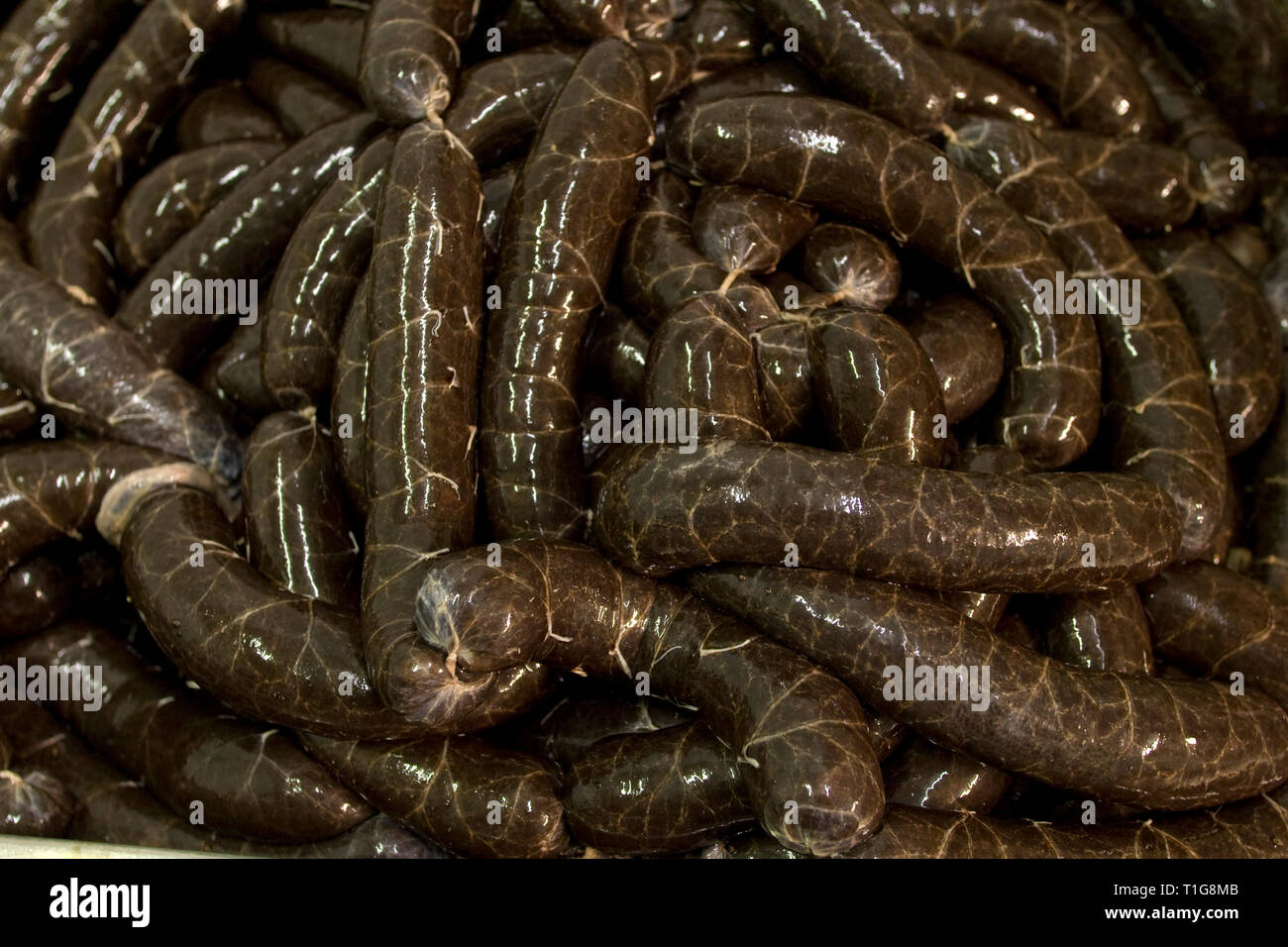 Freshly-made traditional Bury black pudding in production at R. S ...