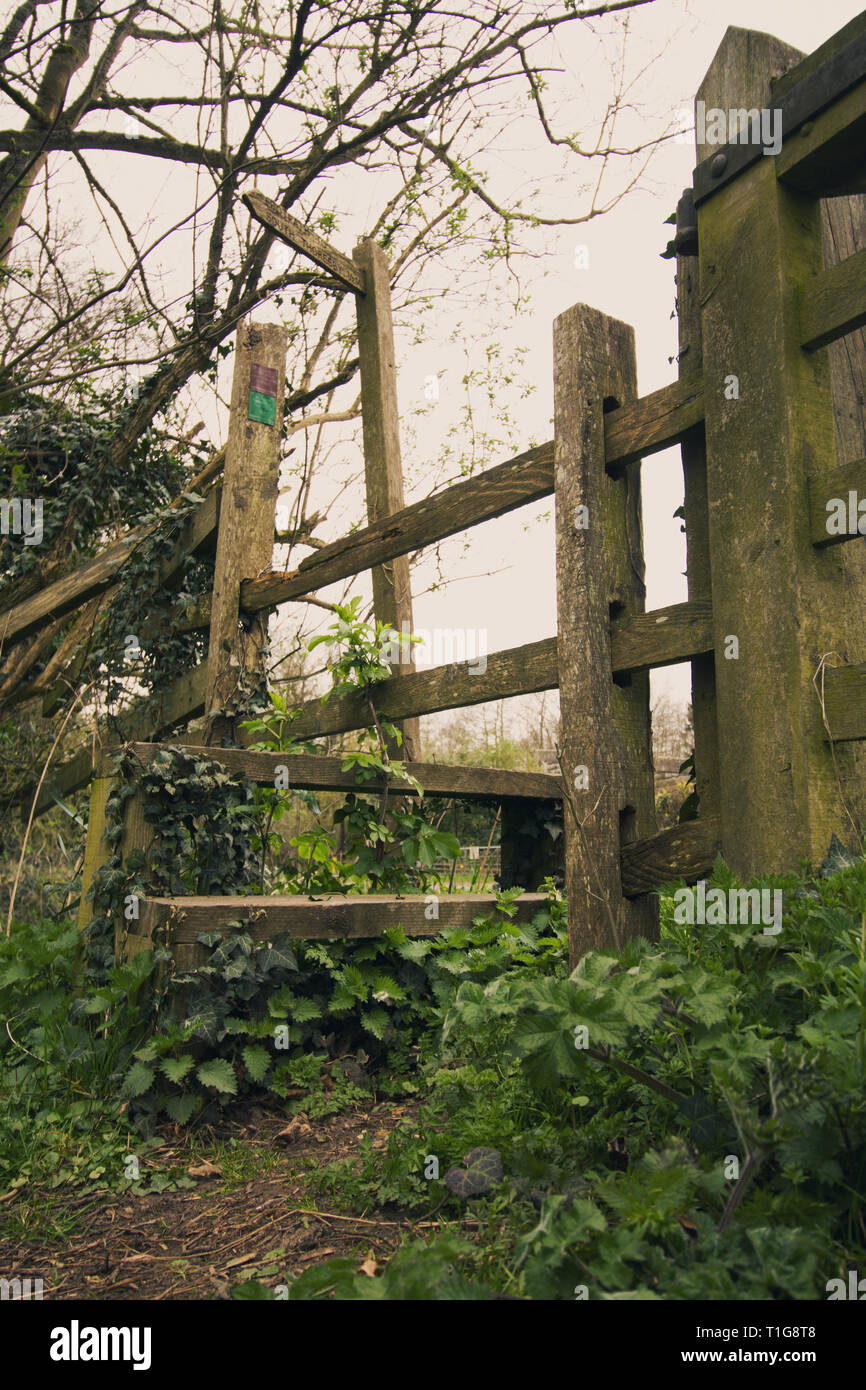 Hinge stile hi-res stock photography and images - Alamy