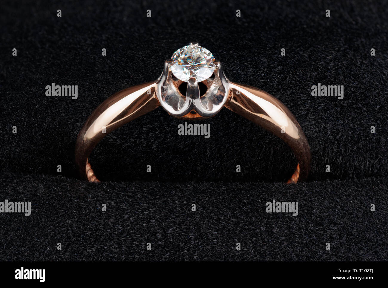 Real diamond gem hi-res stock photography and images - Alamy