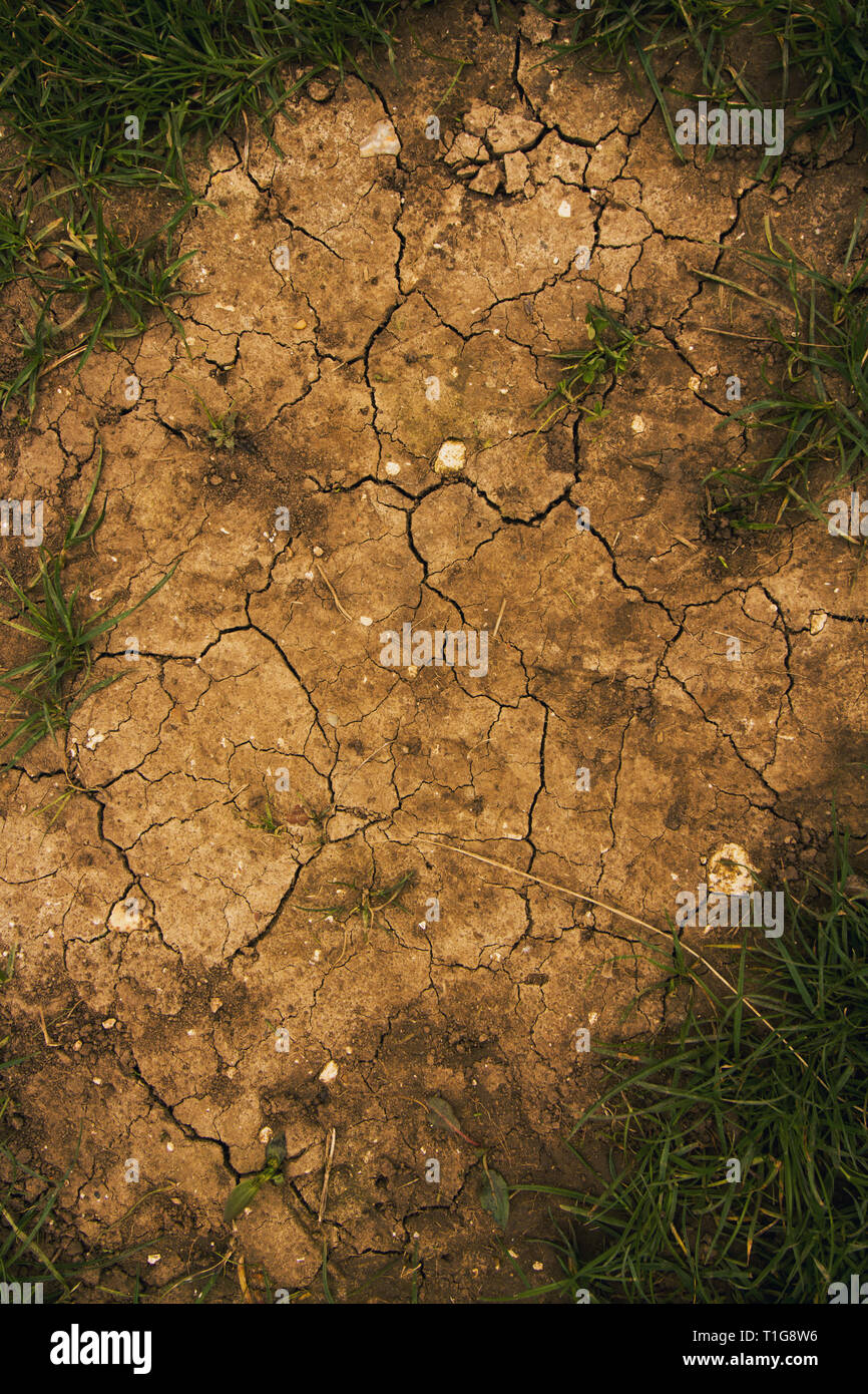 Scorched soil hi-res stock photography and images - Alamy