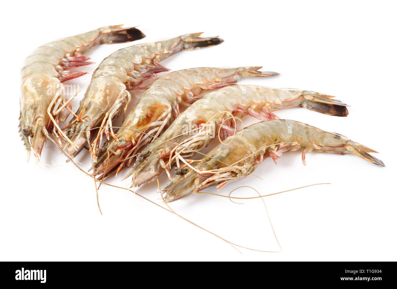 Raw whole prawns isolated on white background Stock Photo - Alamy