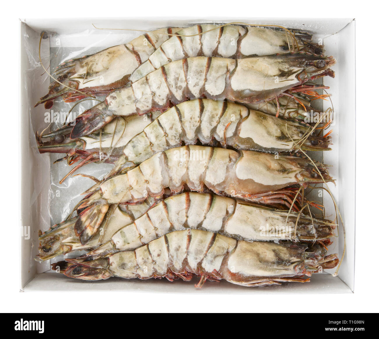 Giant prawns in retail pack, isolated on white with clipping path Stock ...