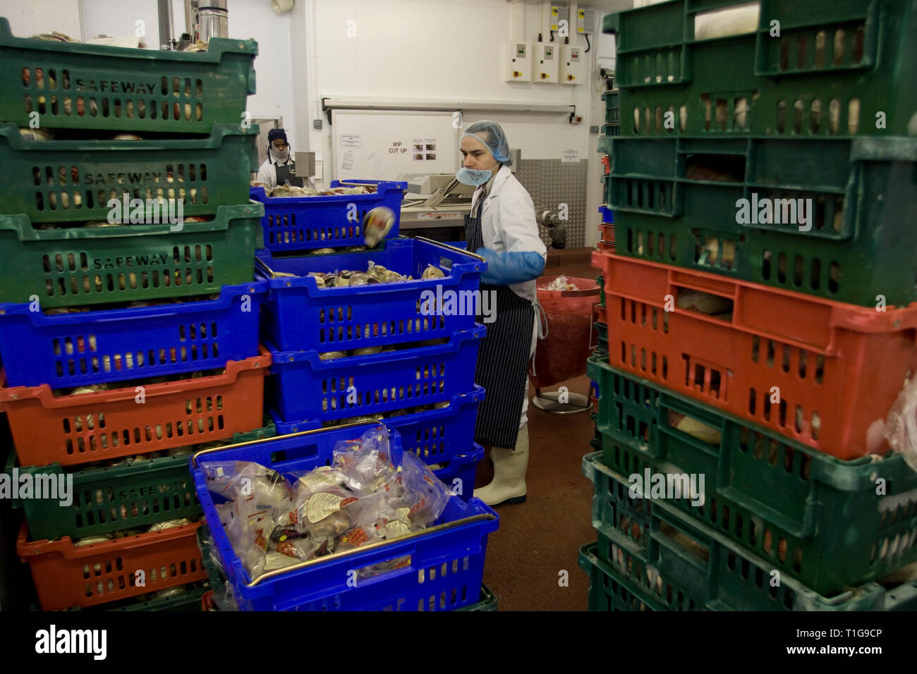 A worker in protective clothing packing freshly produced vacuum packed ...