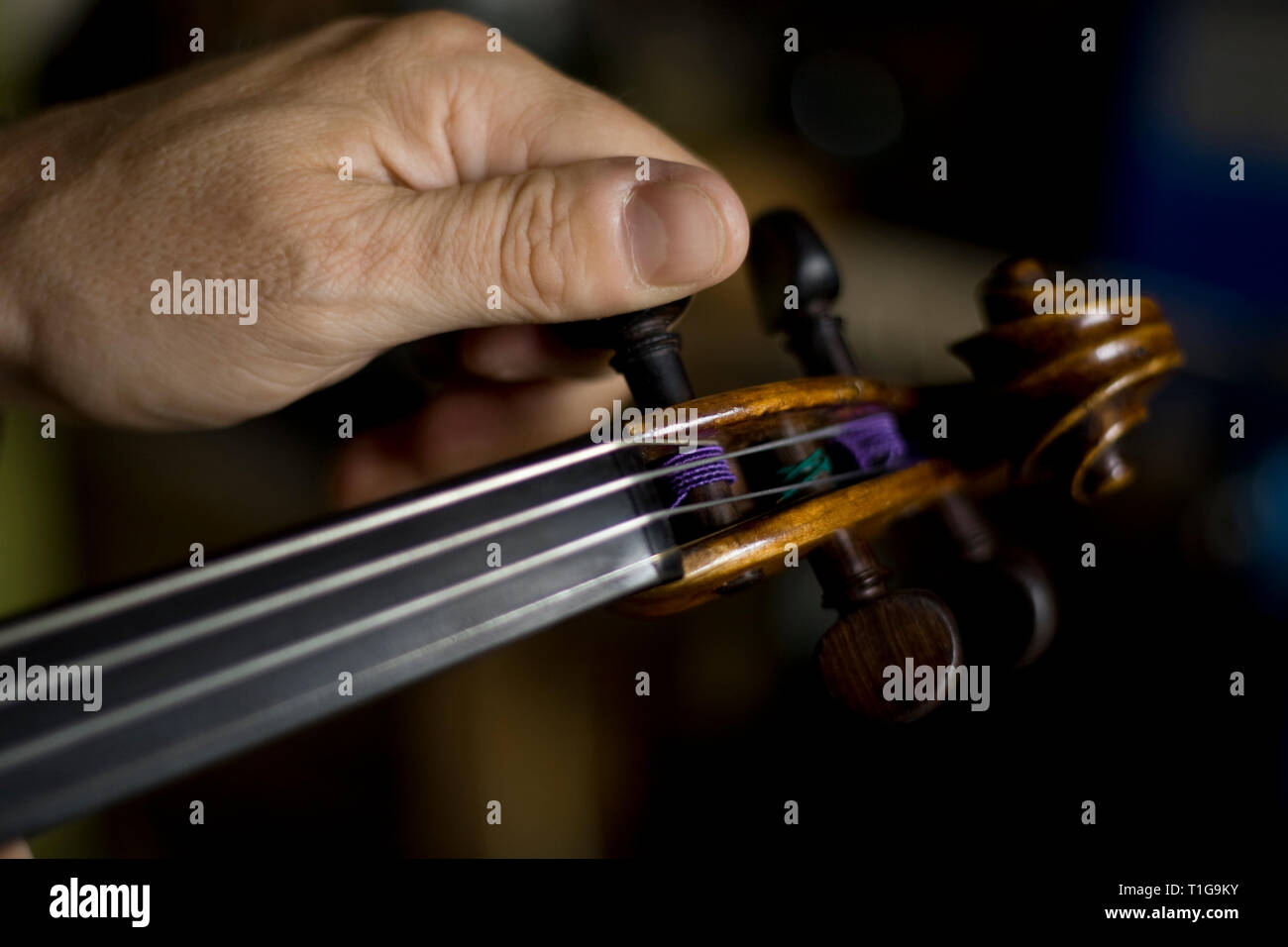 Fine violins hi-res stock photography and images - Alamy