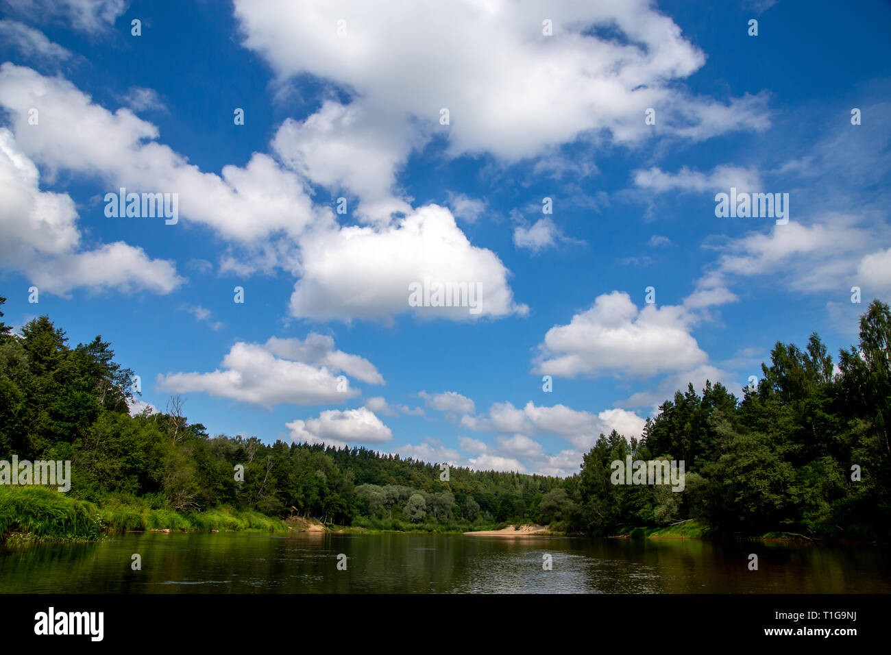 Summer landscape with river, forest and cloudy blue sky. The Gauja is ...