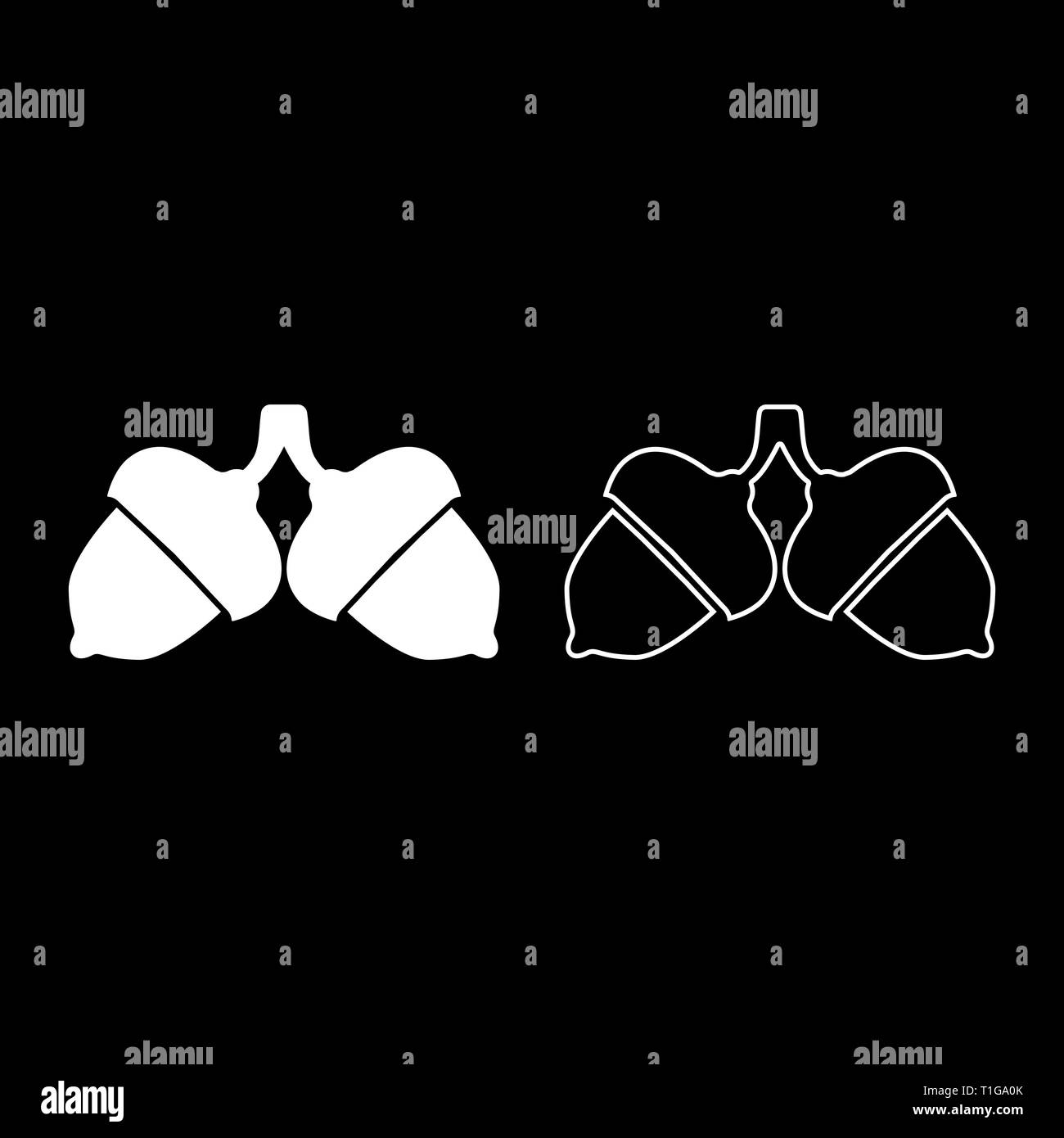 Two acorn icon set white color vector illustration flat style simple ...