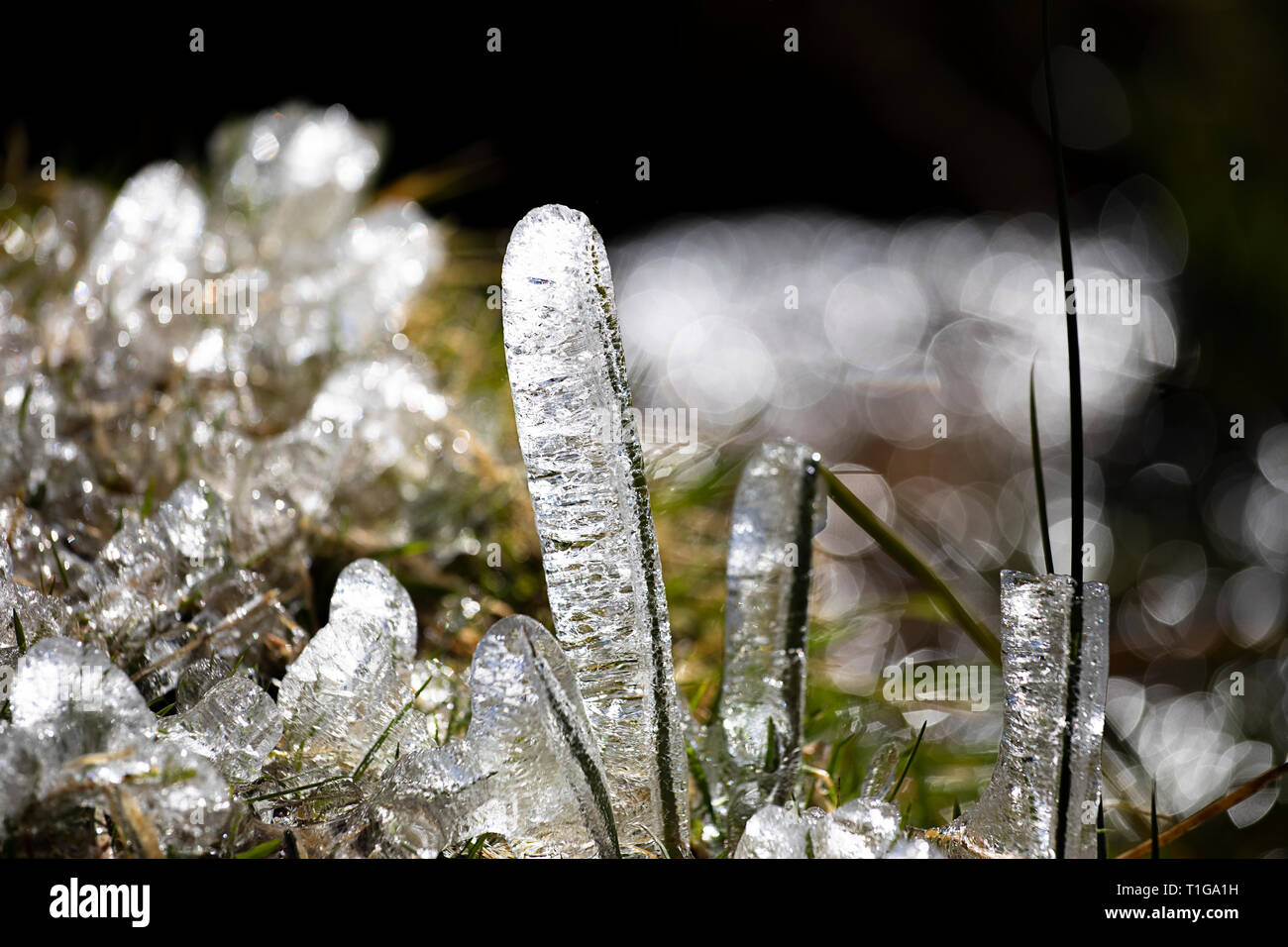 Melting icicles glare sun hi-res stock photography and images - Alamy