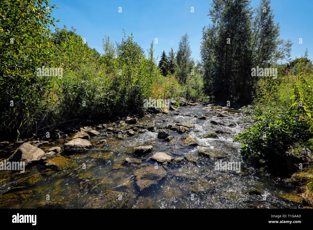 Ecological river restoration hi-res stock photography and images - Alamy