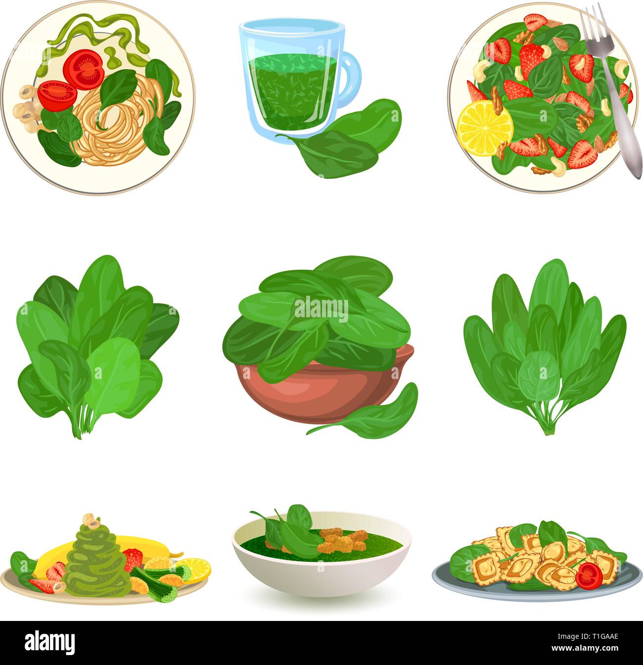 Spinach icons set. Cartoon set of spinach vector icons for web design ...