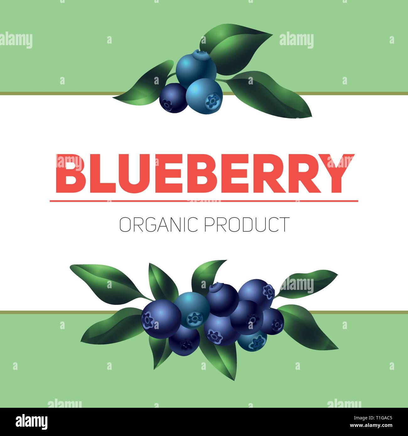 Blueberry concept background. Cartoon illustration of blueberry vector ...