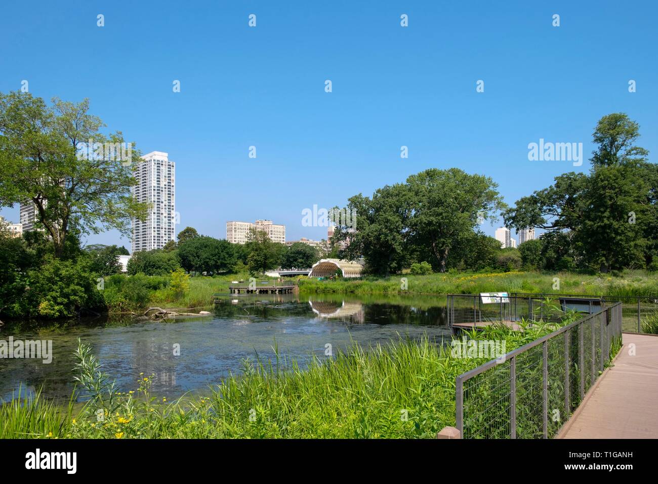 Skyline and Nature Boardwalk summer, Chicago, Illinois Stock Photo - Alamy