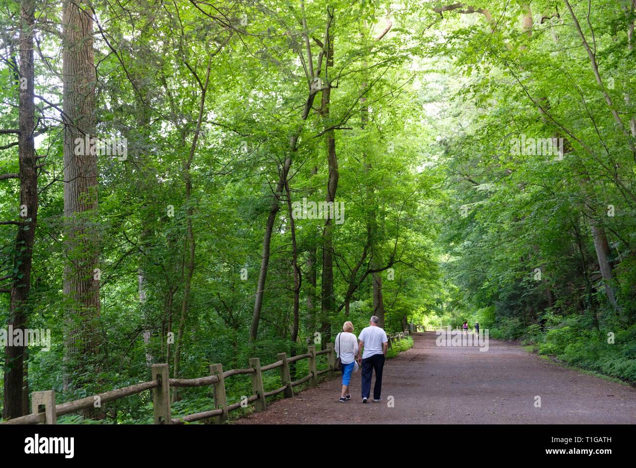Wissahickon Valley Park with People on Forbidden Drive in Northwest ...