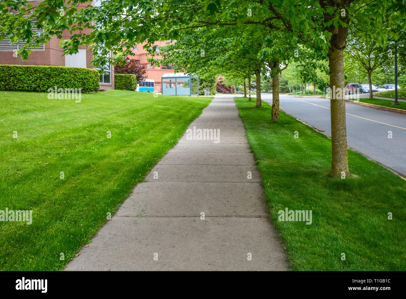 Beautiful walkway hi-res stock photography and images - Alamy