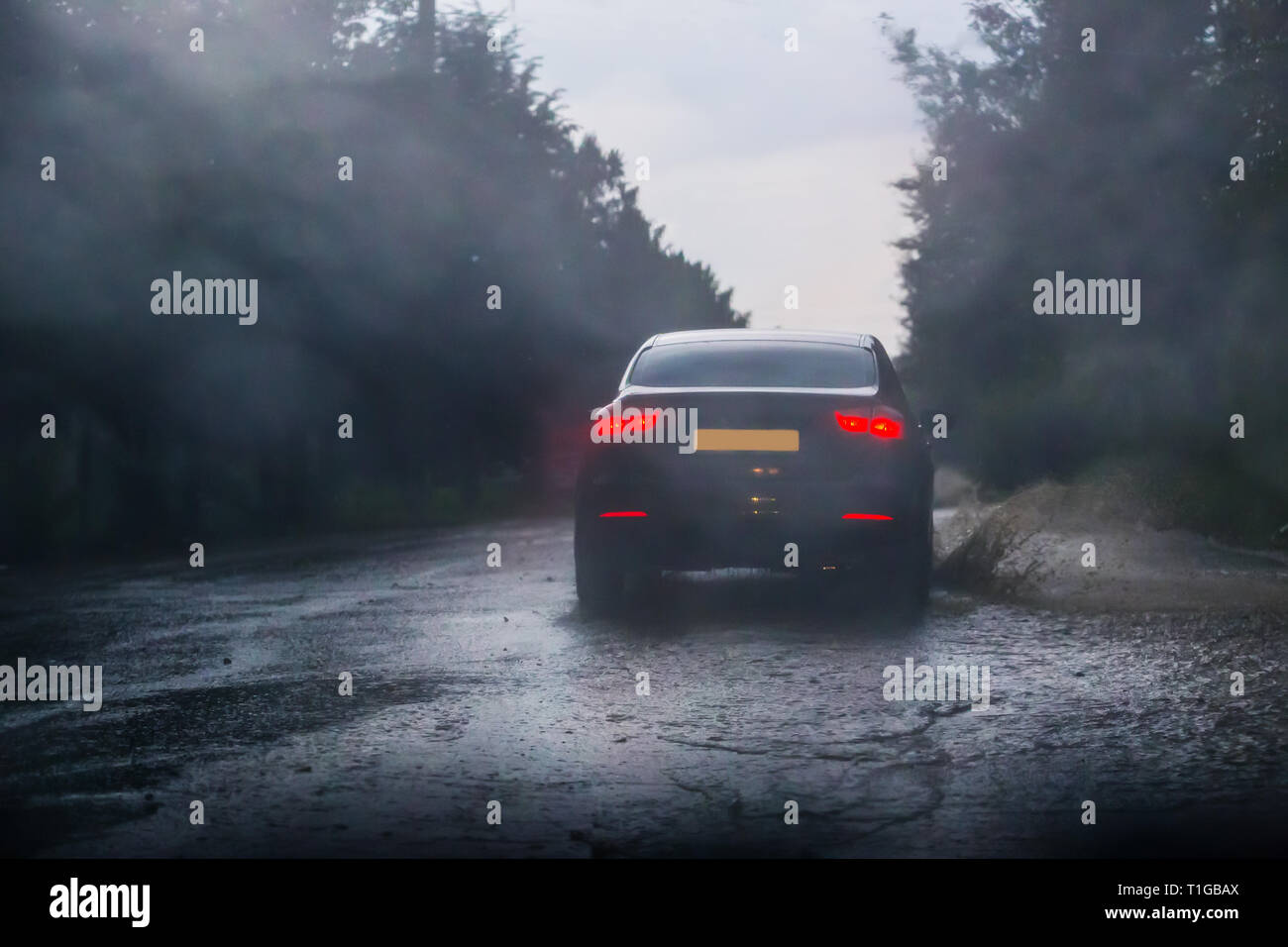 Car rides on forest road hi-res stock photography and images - Alamy