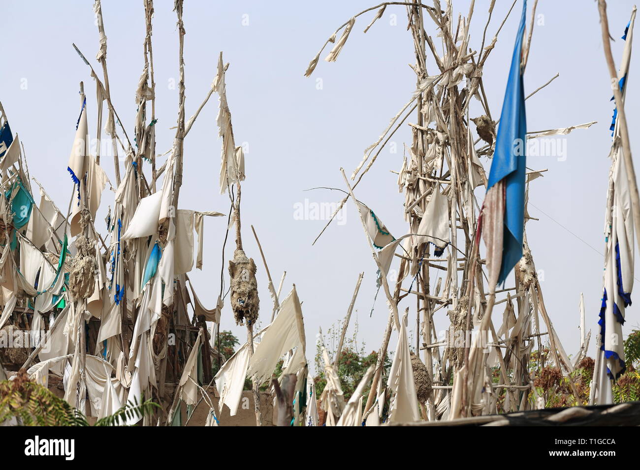 0060 hi-res stock photography and images - Alamy