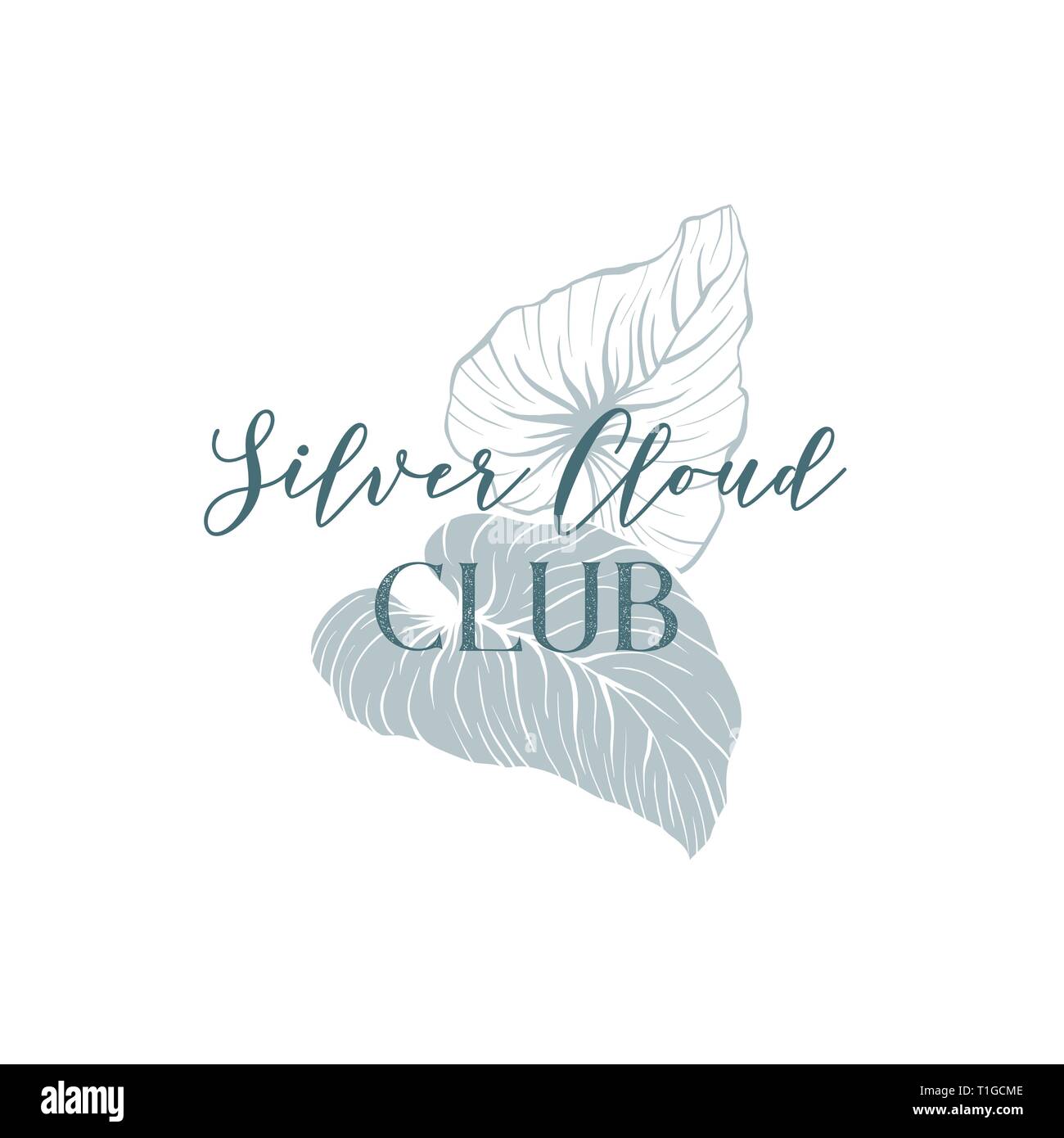 Spa club floral logo hand drawn vector template. Monstera leaves ...