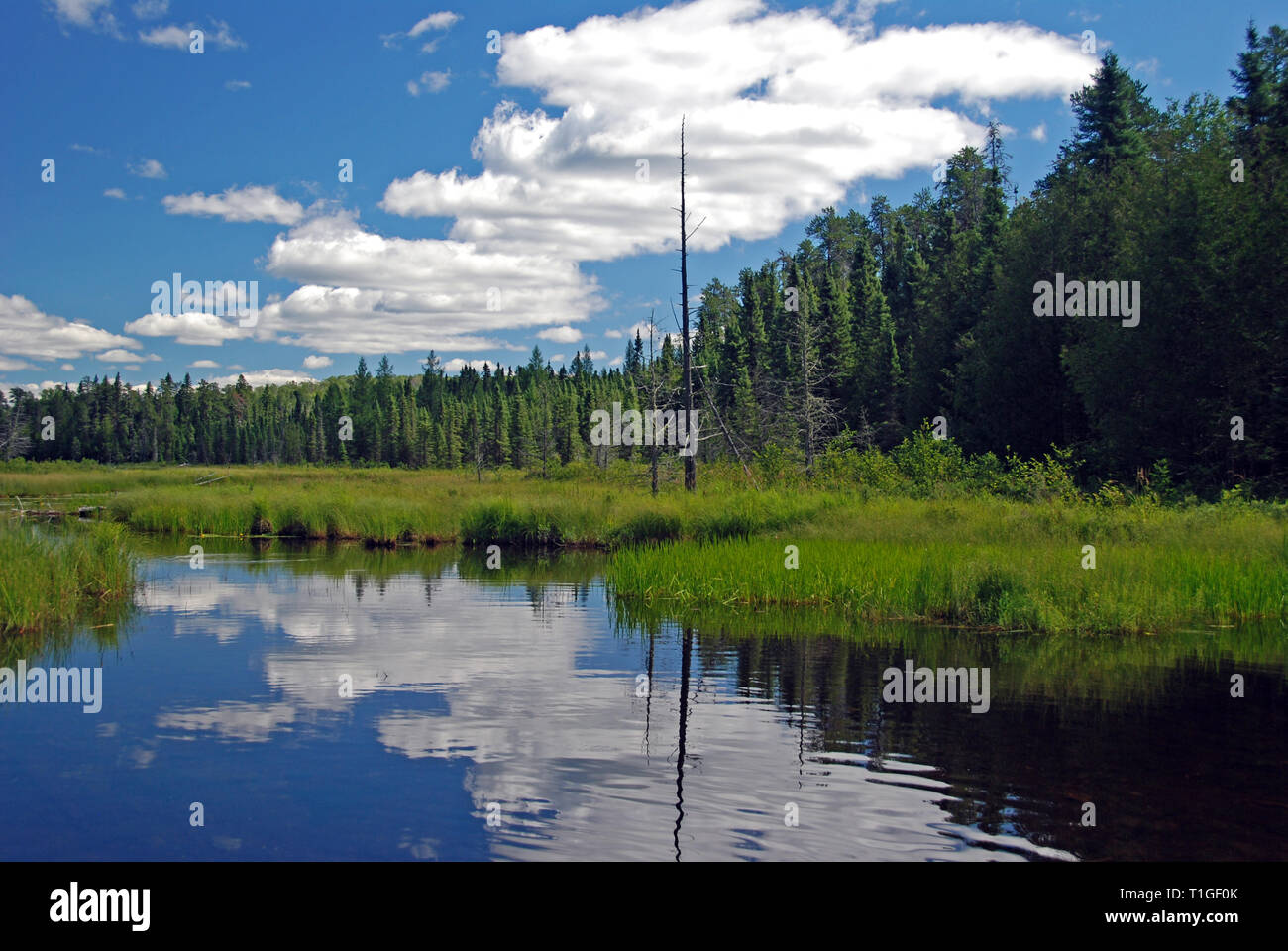 Quetico provincial park wilderness hi-res stock photography and images ...