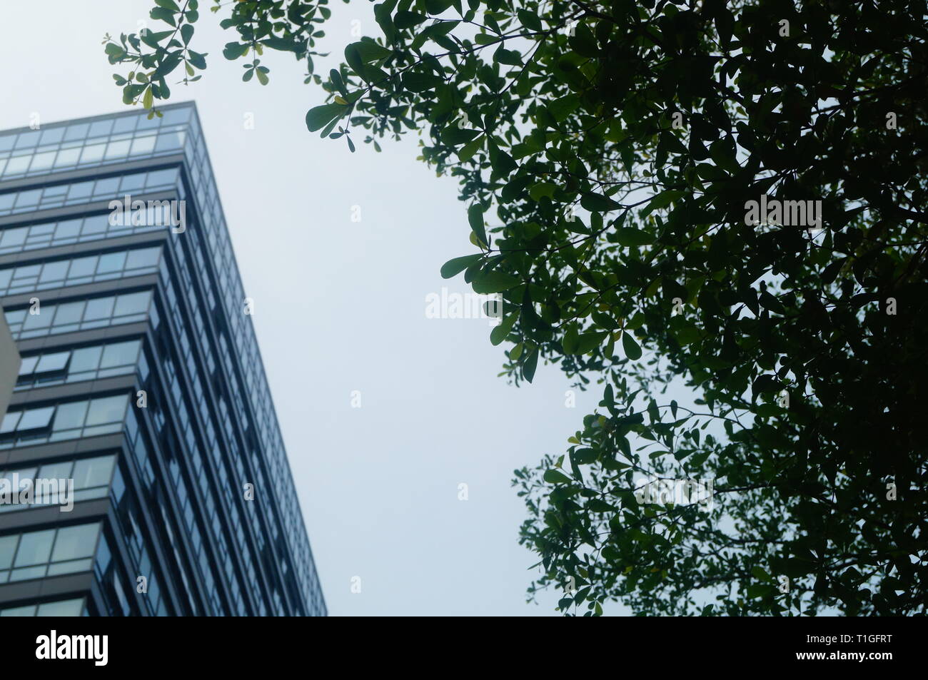 New business building hi-res stock photography and images - Alamy