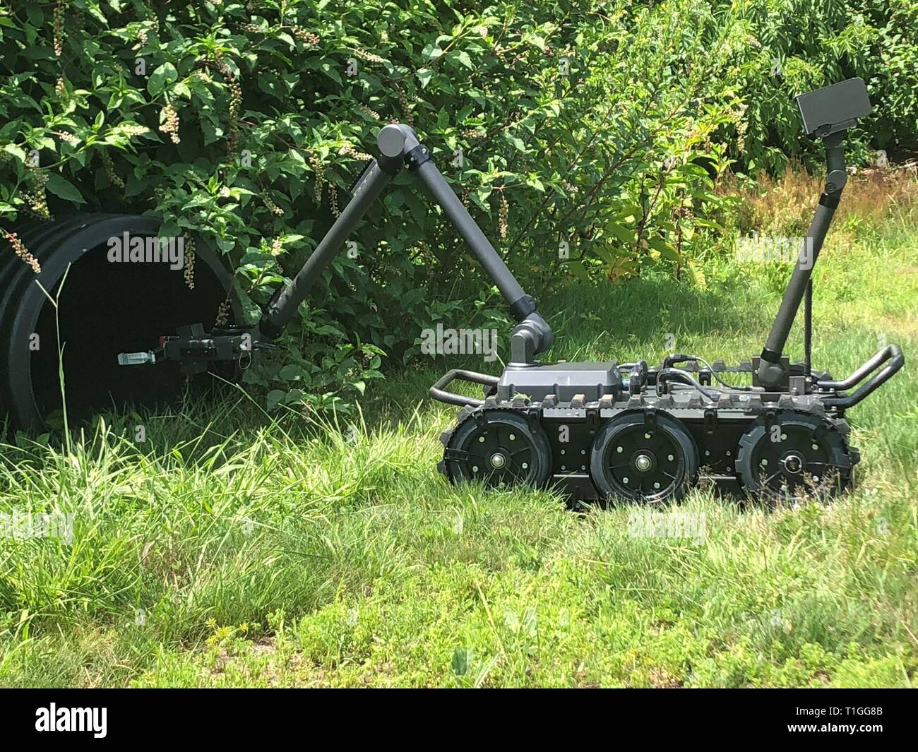 Small- and medium-sized robots used for route clearance and explosive ...