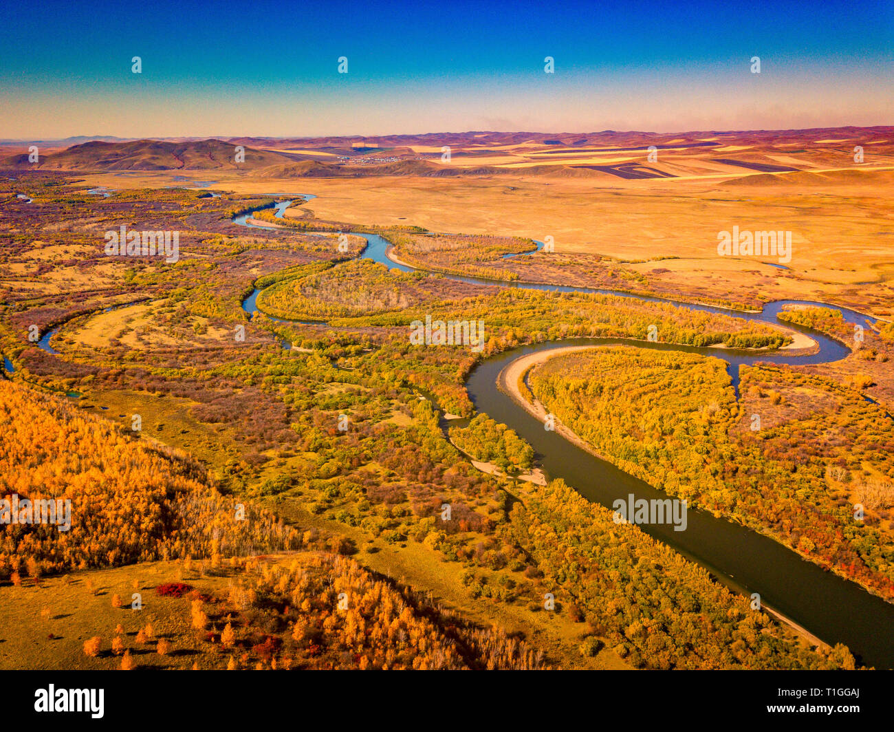 Meandering River Amidst Lush Greenery in Mongolia during Autumn Stock ...