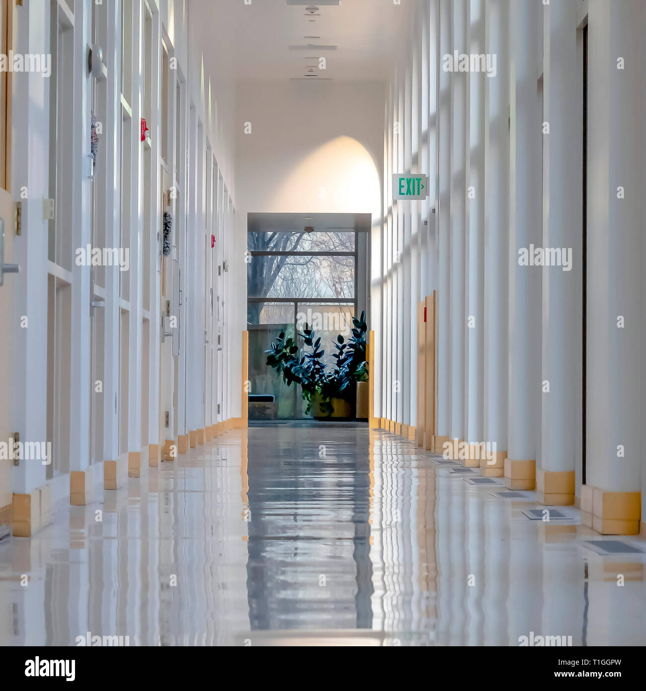Modern building interior hallway with exit sign. Modern building ...