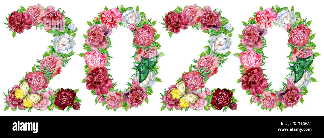 Number 2020 of watercolor flowers, isolated hand drawn on a white ...