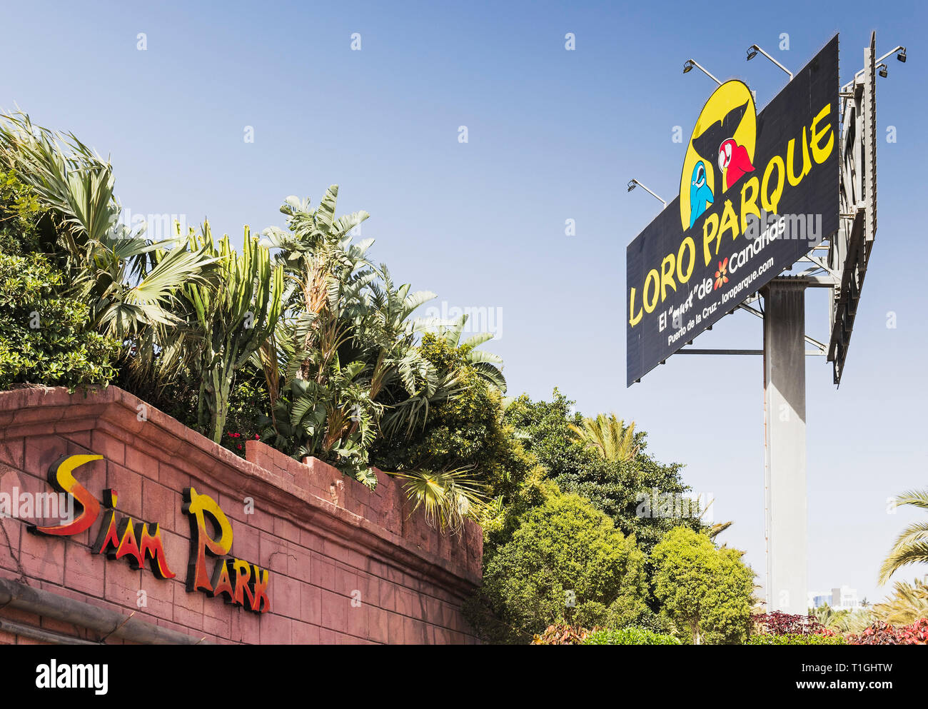 Signs for the tourist attractions of Siam Park and Loro Parque on the ...