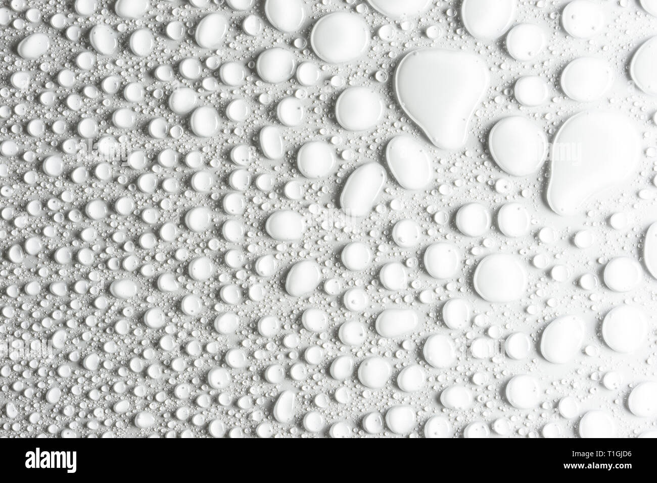 Droplets of water on a white, matte background illuminated with a ...